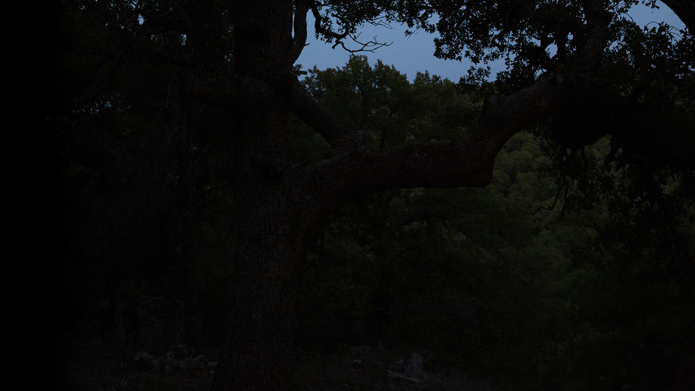 Night Vision for Hunting | Low Light Camera | SIONYX