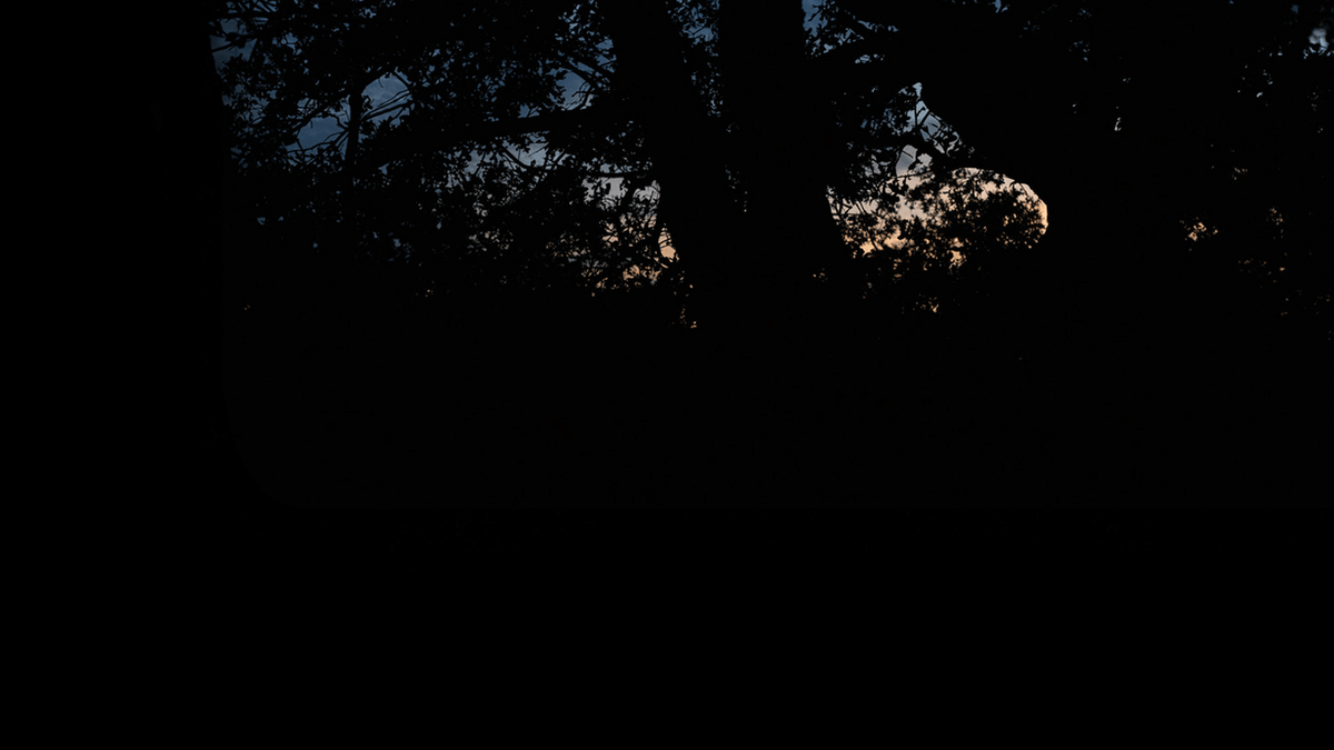 Outdoor Night Vision Camera | Night Surveillance Cameras – SIONYX